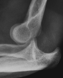 Documento sin título