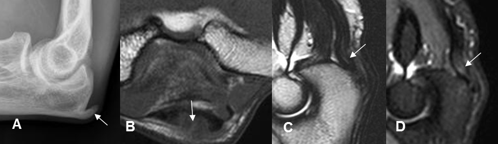 Documento sin título