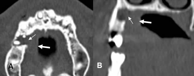 Documento sin título